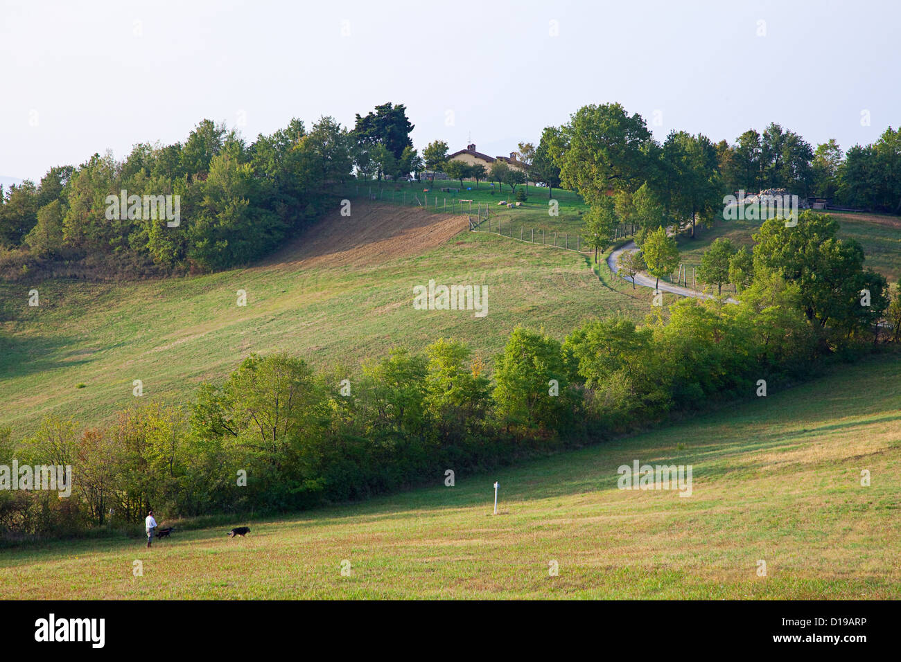Rolling Hills of Tuscany Stock Photo - Alamy