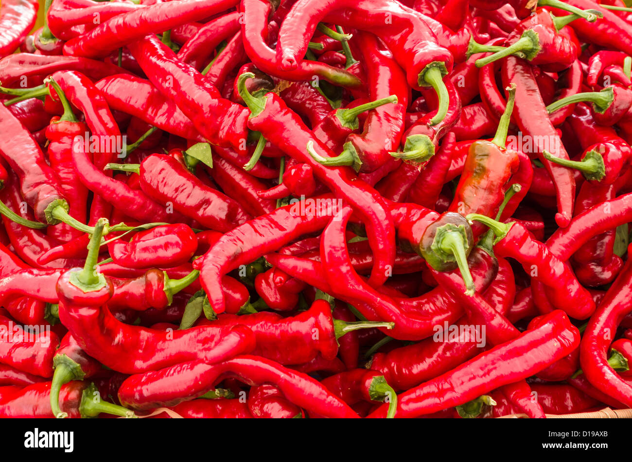 Vibrant harvest display hi-res stock photography and images - Alamy