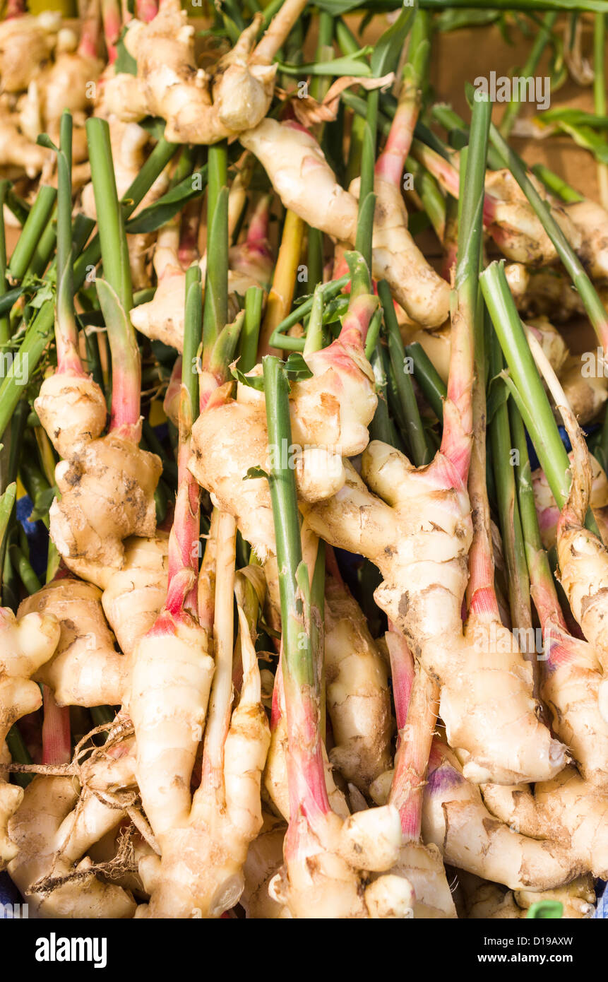 Ginger display hi-res stock photography and images - Alamy