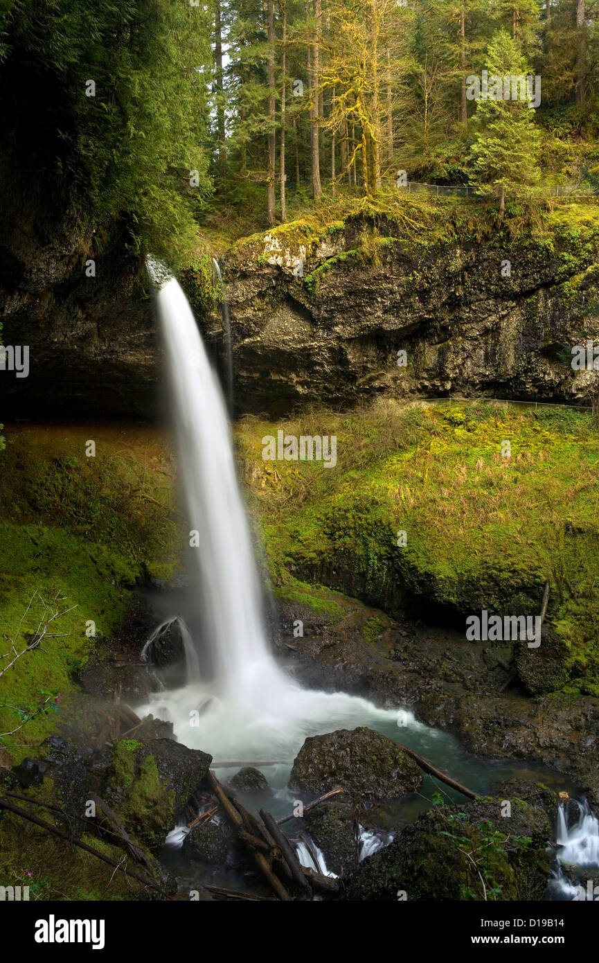 OREGON - North Falls in Silver Falls State Park located in the ...