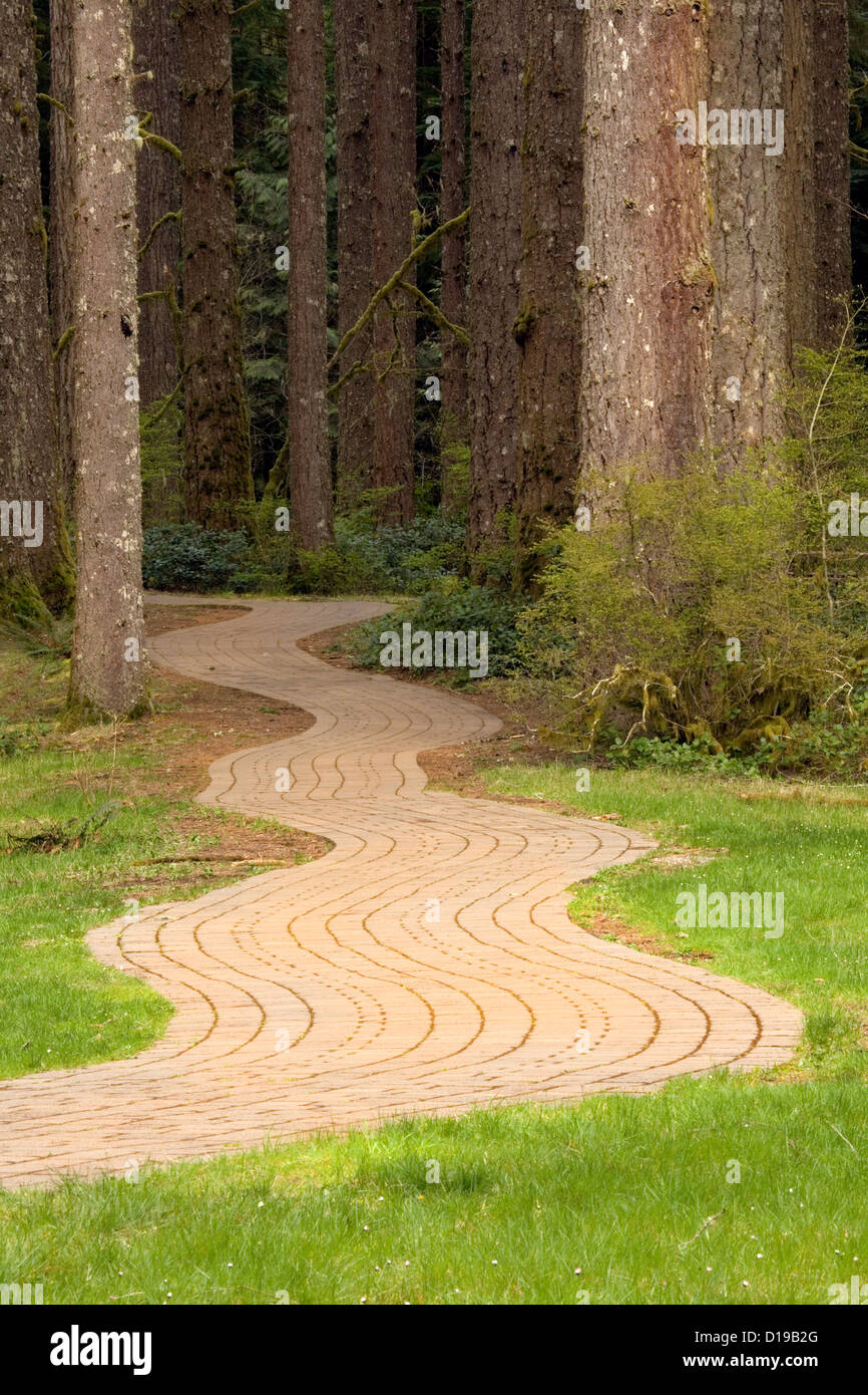 Serpentine trail walkway path hi-res stock photography and images - Alamy