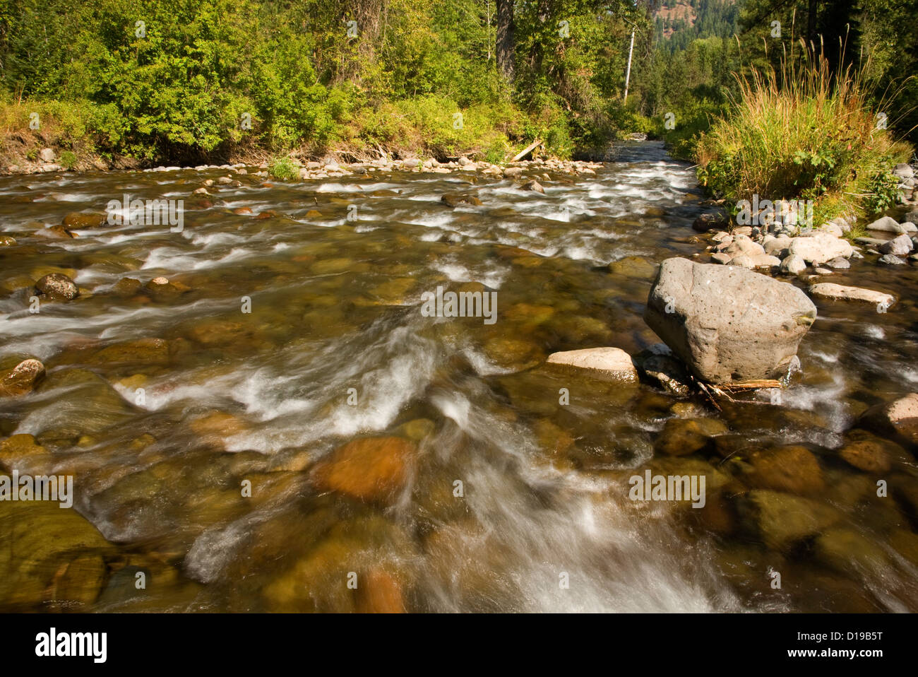 OREGON - The Wenaha River in the Wenaha - Tucannon Wilderness area portion of the Blue Mountains ...