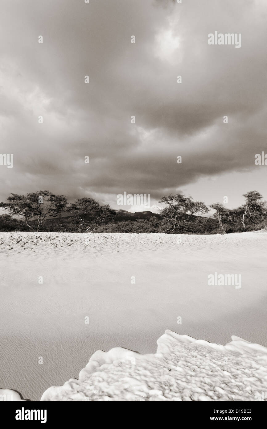 Maui black sand beach paradise photography hi-res stock photography and ...