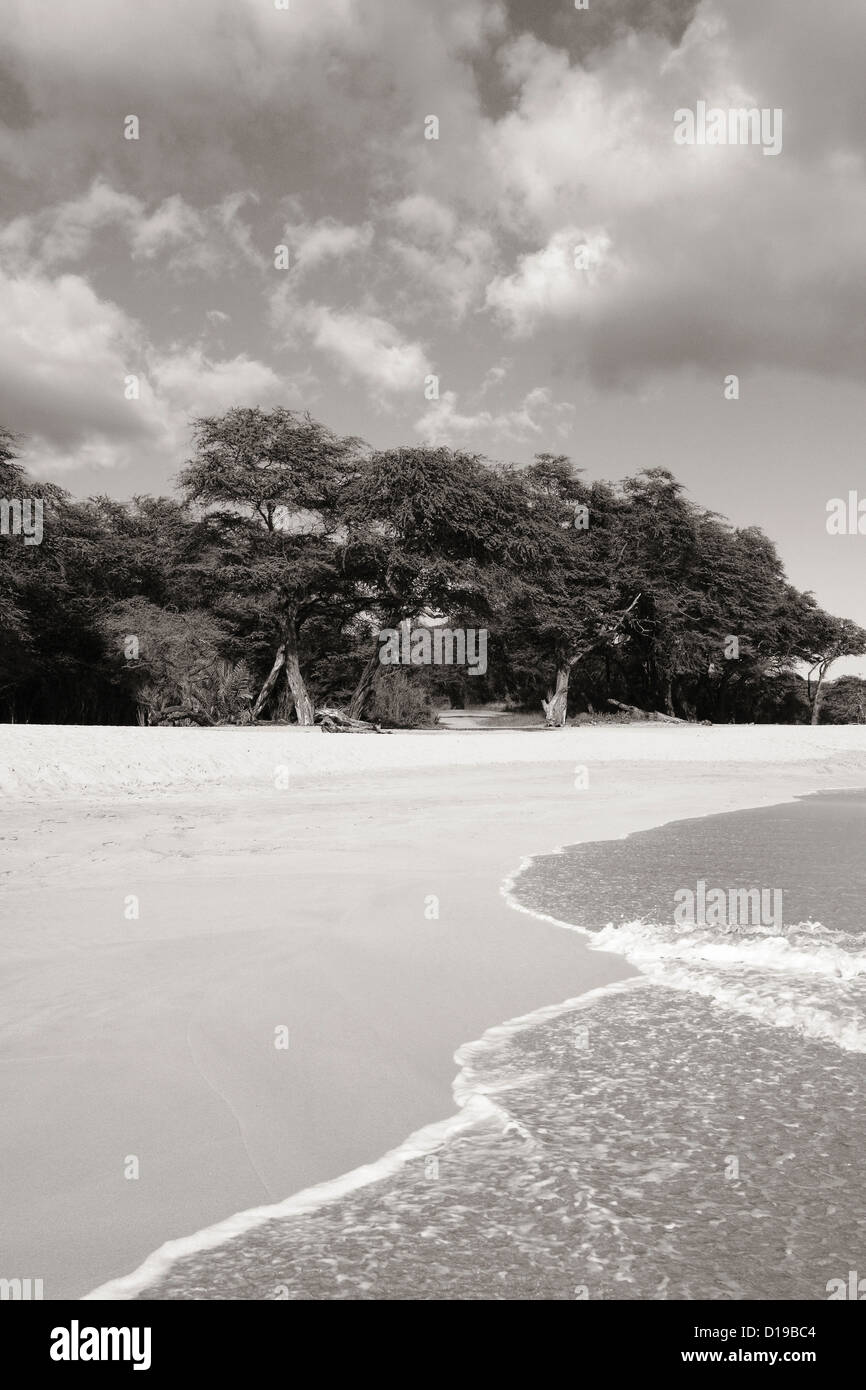 Maui hawaii overview hi-res stock photography and images - Alamy