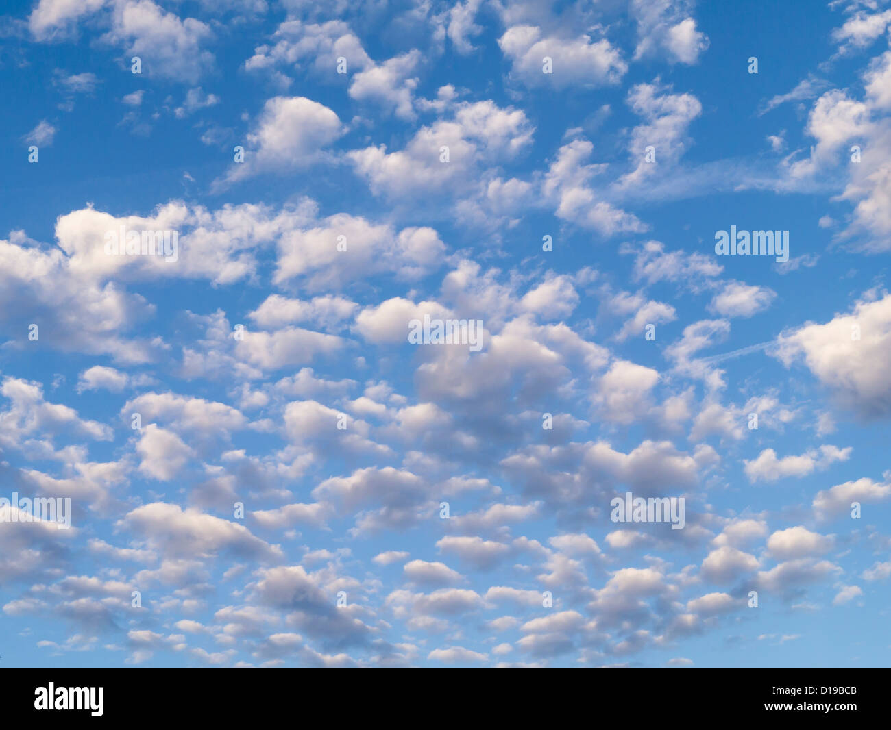 Altocumulus clouds in blue sky Stock Photo - Alamy