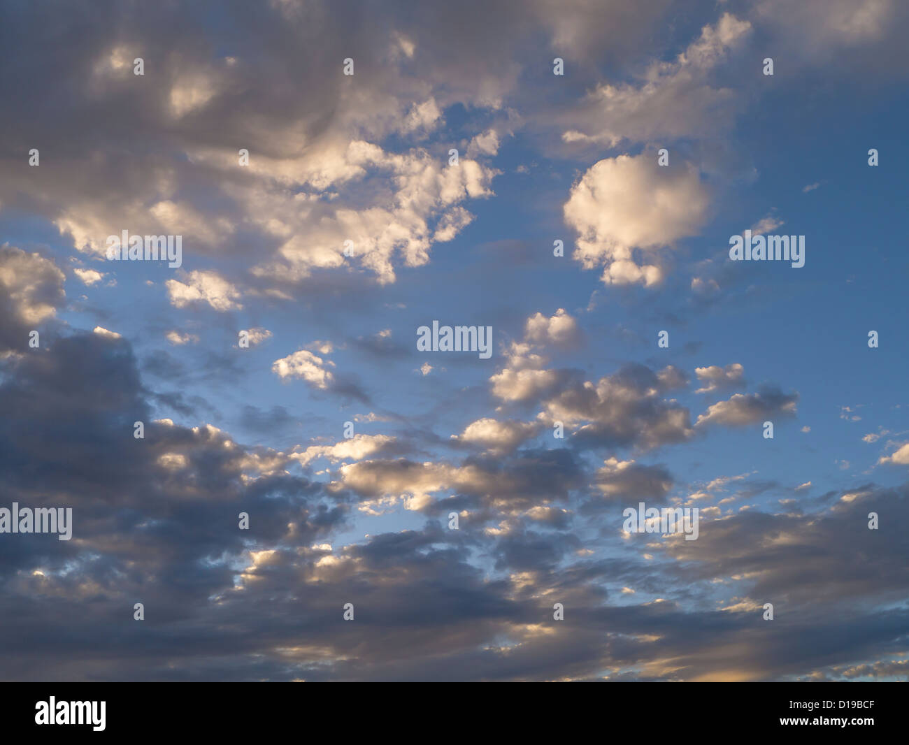 Altocumulus clouds in sky Stock Photo - Alamy