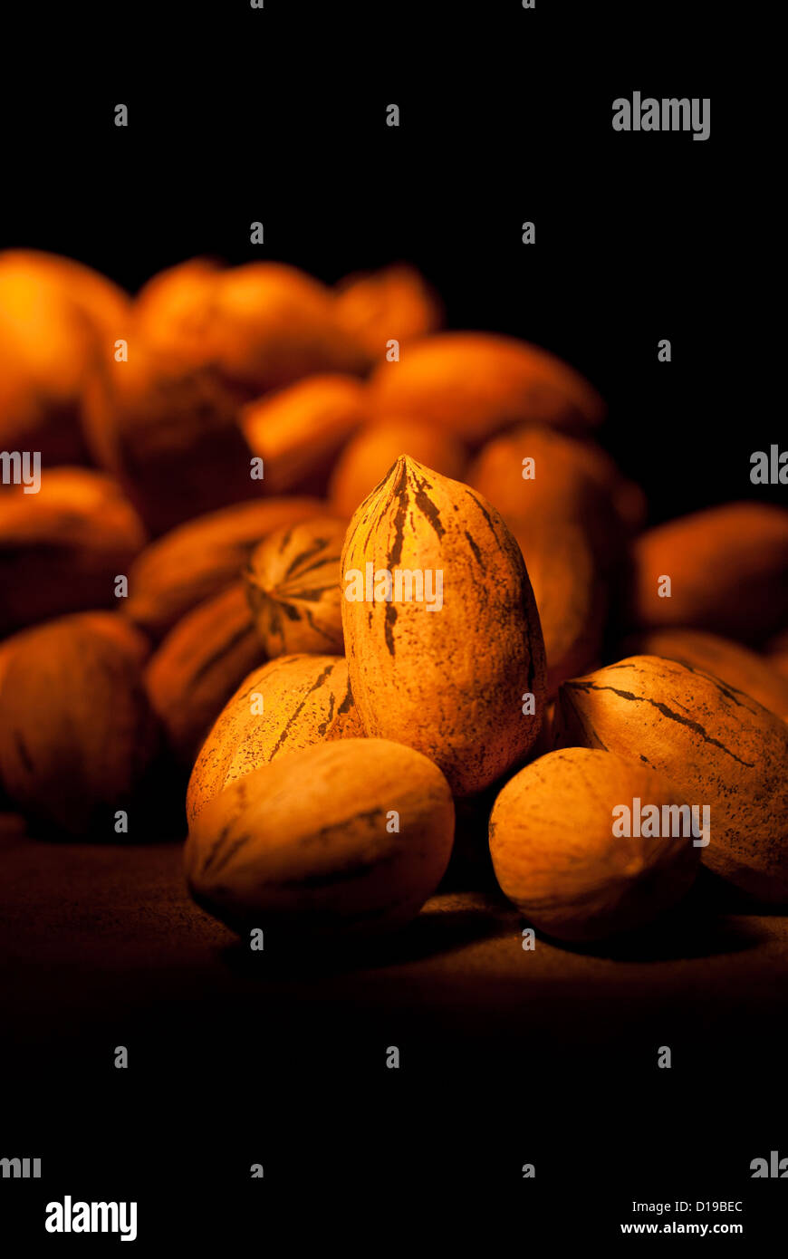 A photograph of pecans in shell Stock Photo - Alamy