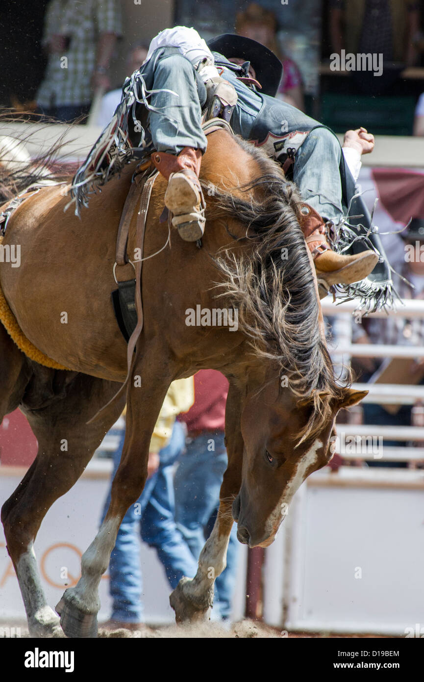 Every july hi-res stock photography and images - Alamy