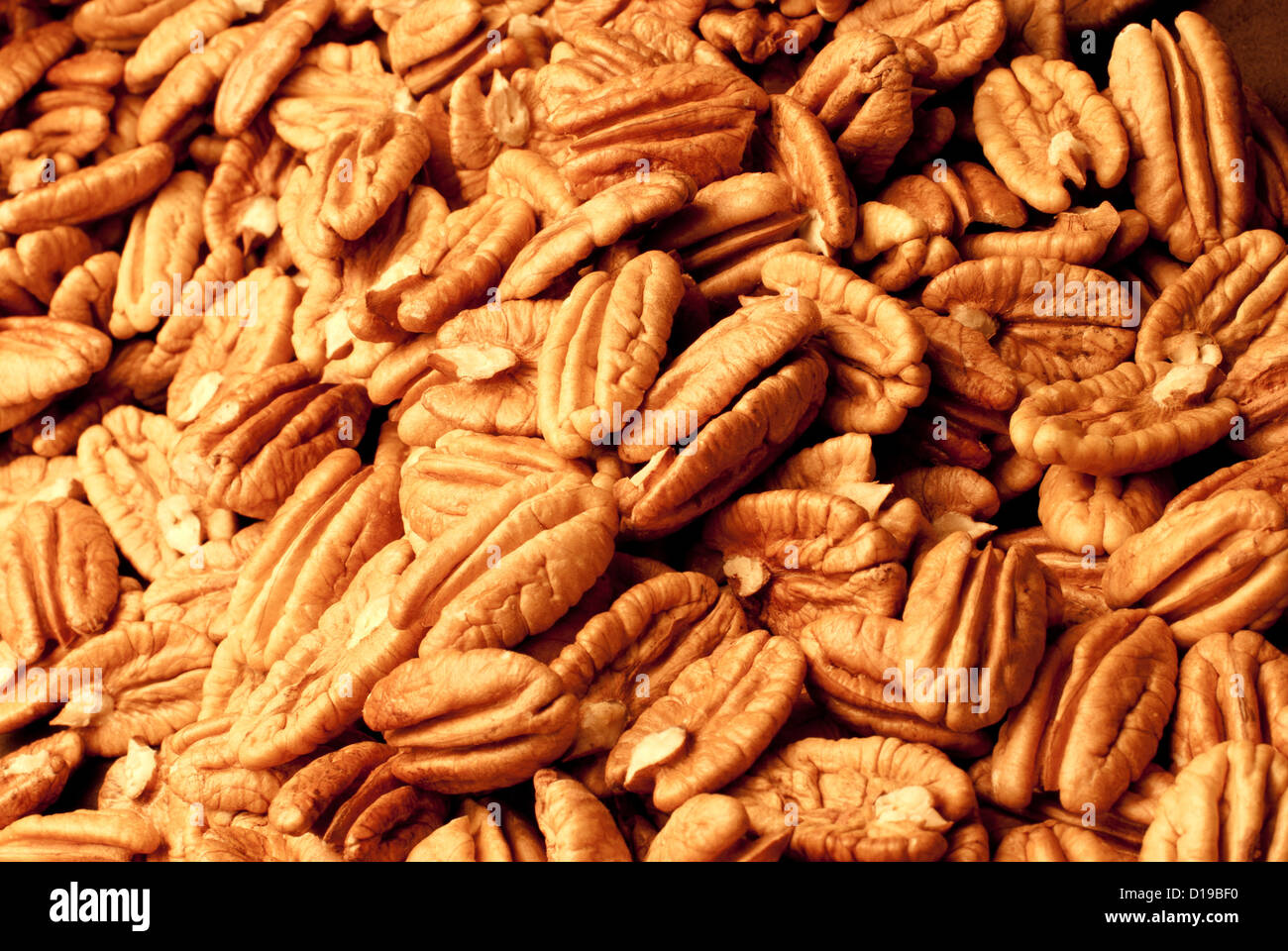 A photograph of pecans Stock Photo - Alamy