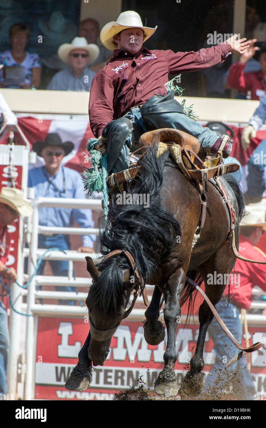 Saddle bronc event at the Calgary Stampede rodeo held every July Stock ...