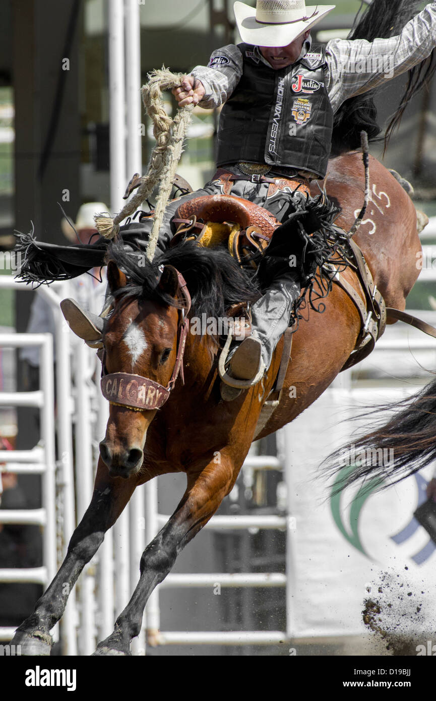 Saddle bronc event at the Calgary Stampede rodeo held every July Stock ...