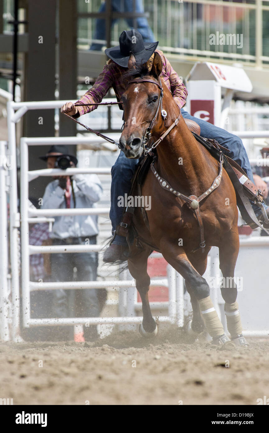 Ladies Barrel Race event at the Calgary Stampede rodeo held every July ...