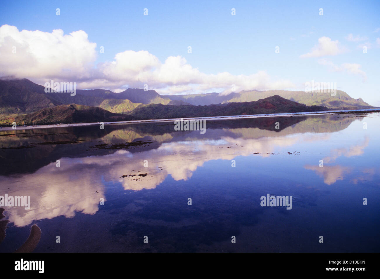 Ariyoshi hawaii hi-res stock photography and images - Alamy