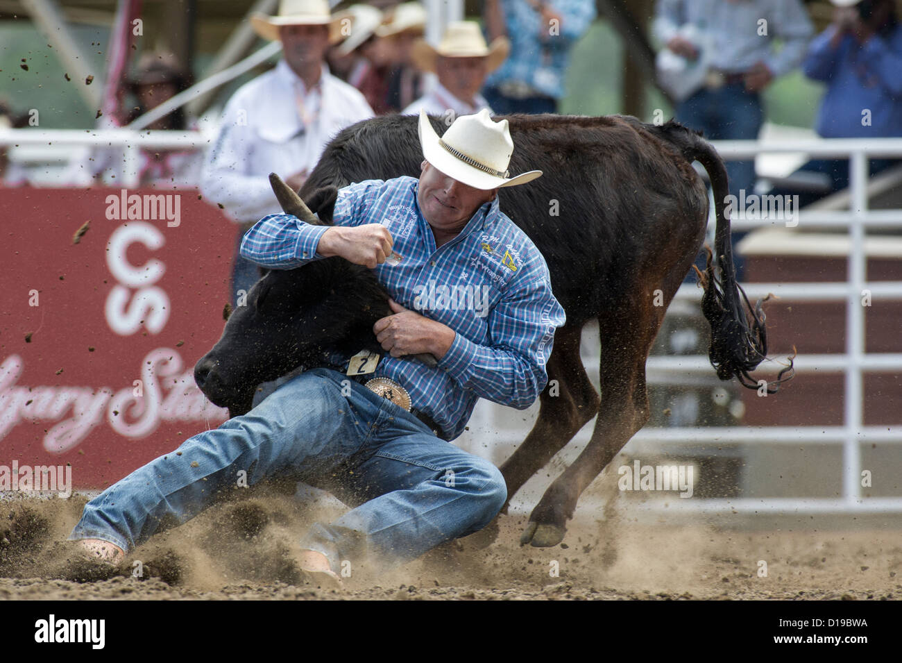 Rodeo Steer Wrestling