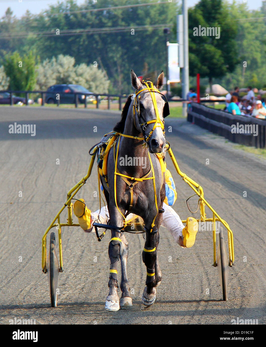 At The Track during pre-race warm up Stock Photo - Alamy
