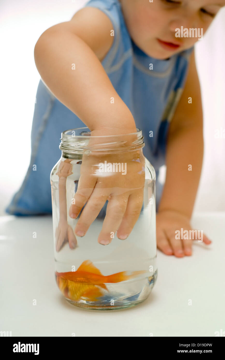 Toddler boy with hand in fish bowl catching fish Stock Photo - Alamy