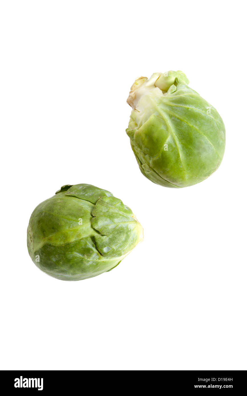 Vegetable sprouts Cut Out Stock Images & Pictures - Alamy