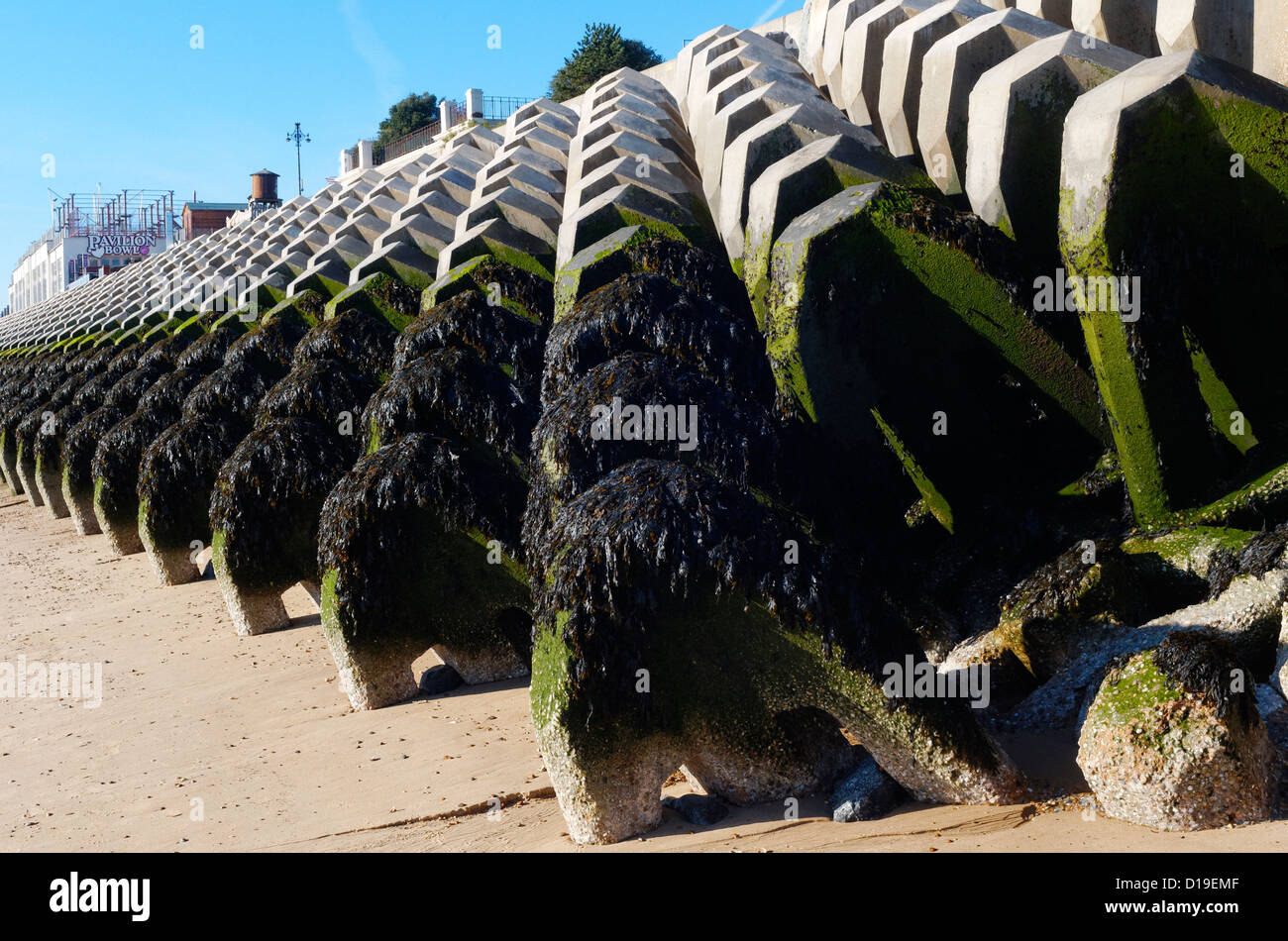 Concrete Wave Walker units covered in seaweed protect the promanade ...