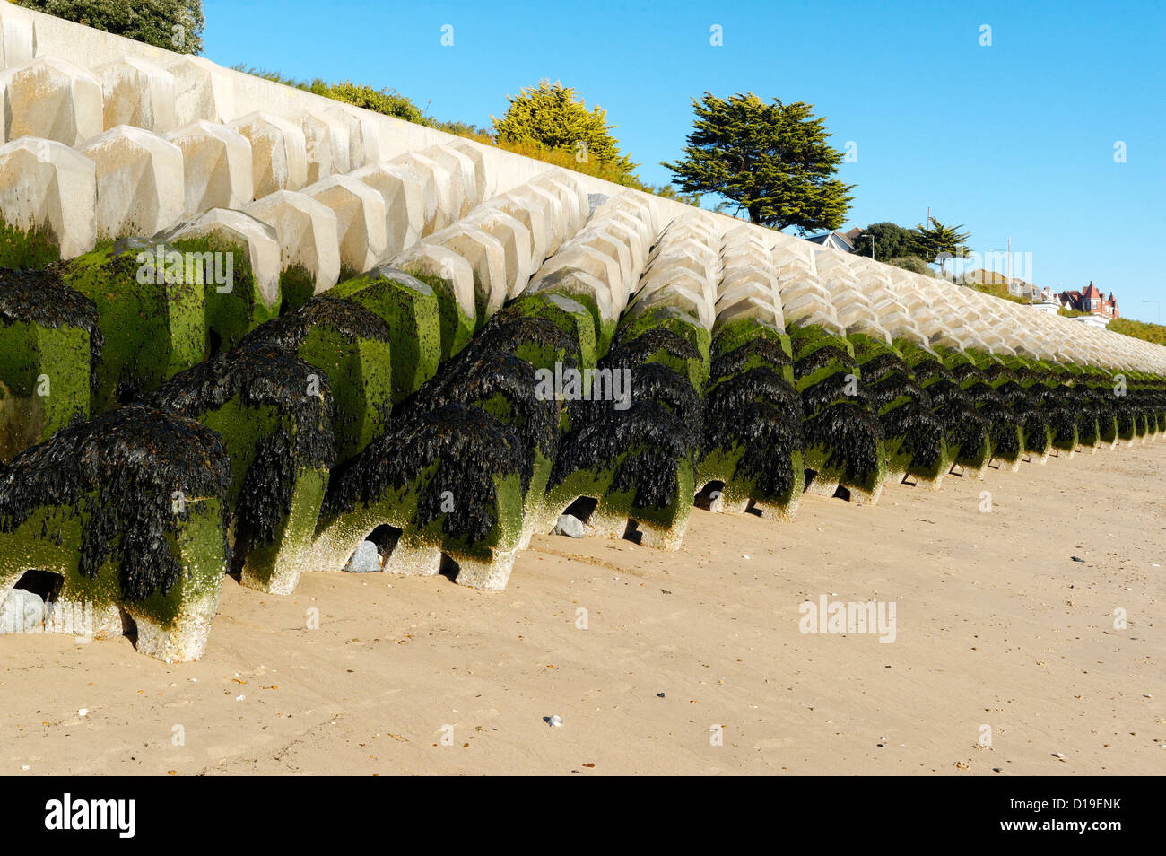 Concrete Wave Walker units covered in seaweed protect the promanade ...
