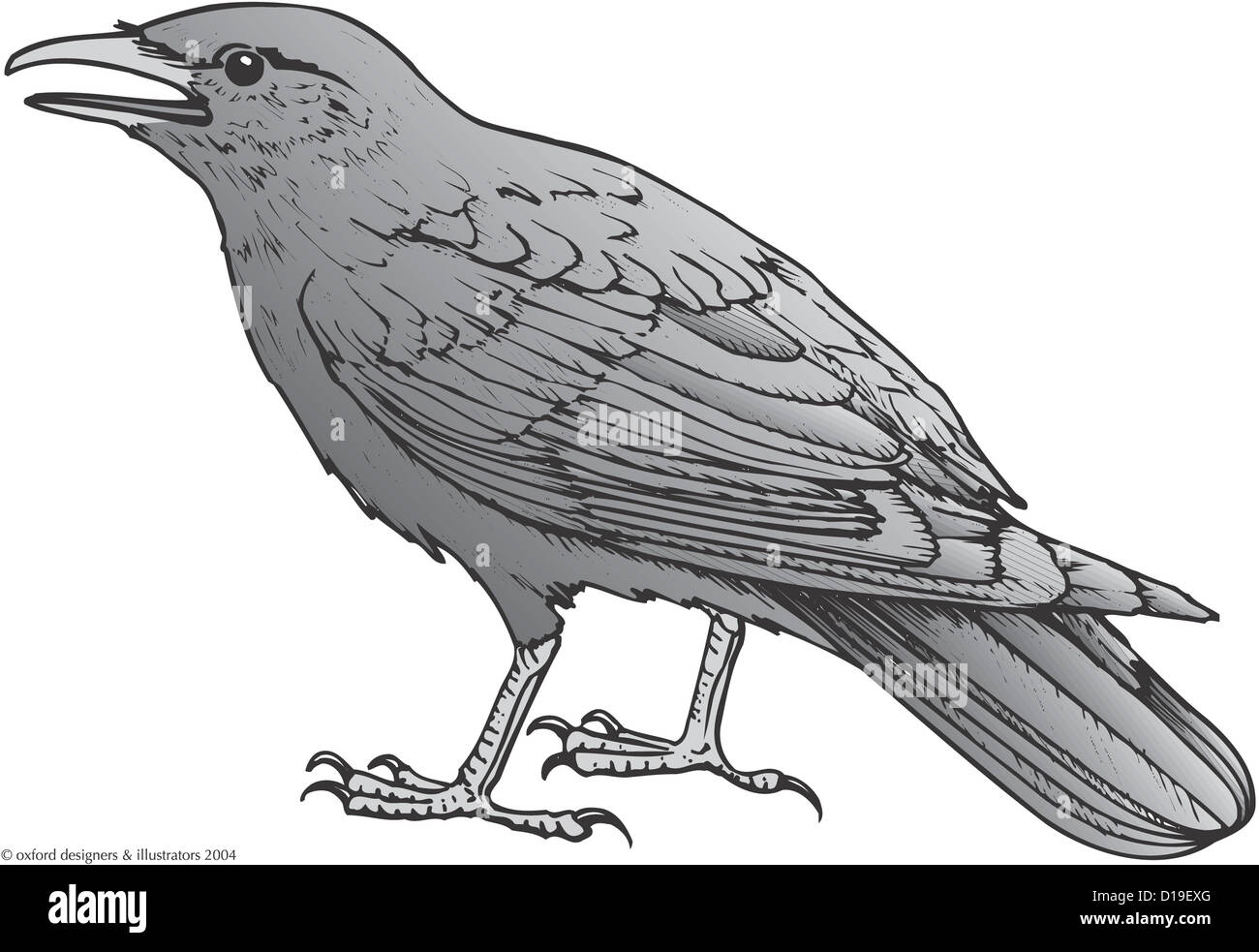 Carrion crows nest hi-res stock photography and images - Alamy