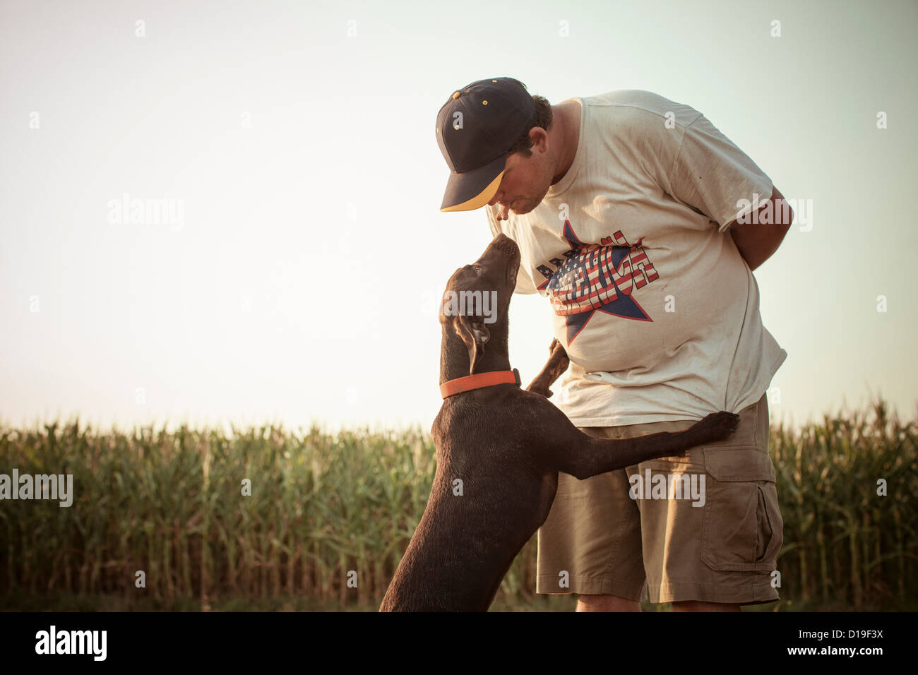 Man kissing chocolate labrador Stock Photo - Alamy
