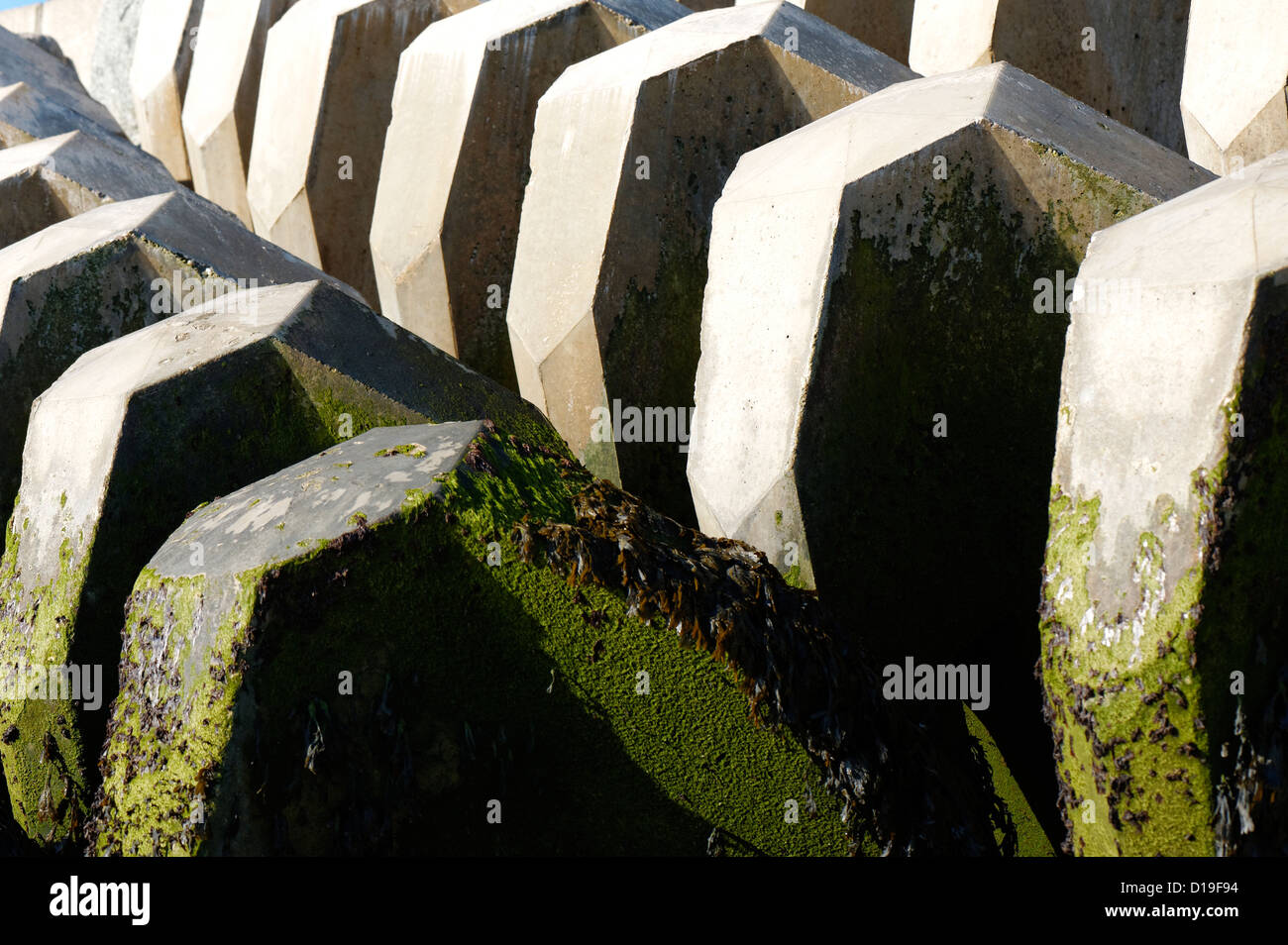 Concrete Wave Walker units covered in seaweed protect the promanade ...