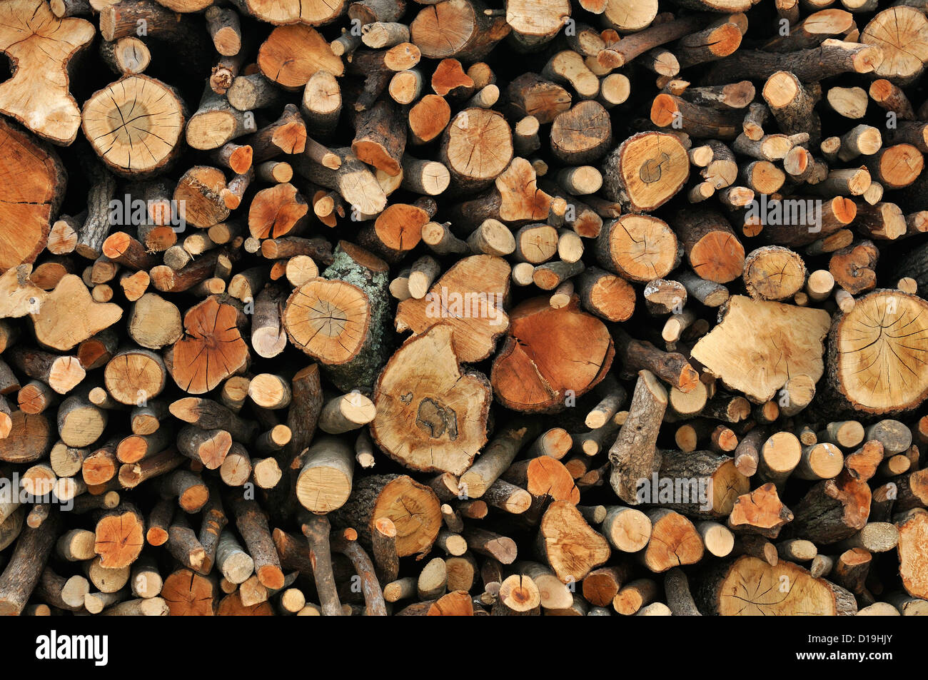 Cutted wood hi-res stock photography and images - Alamy