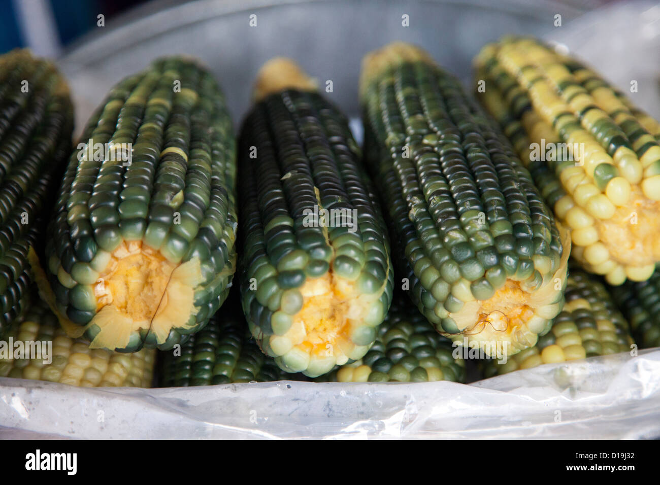 Hopi Indians Food Corn