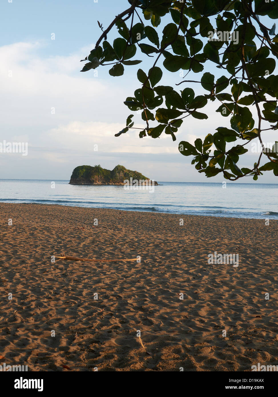 Samara costa rica hi-res stock photography and images - Alamy