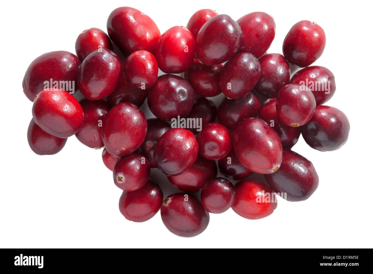 Cranberries hi-res stock photography and images - Alamy