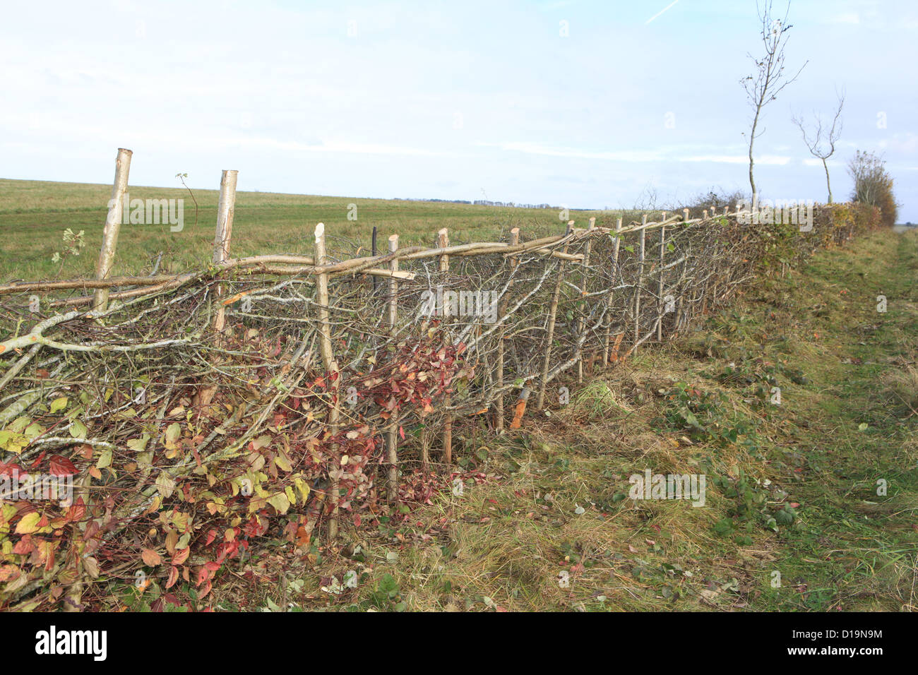 Hedge laying tools hi-res stock photography and images - Alamy