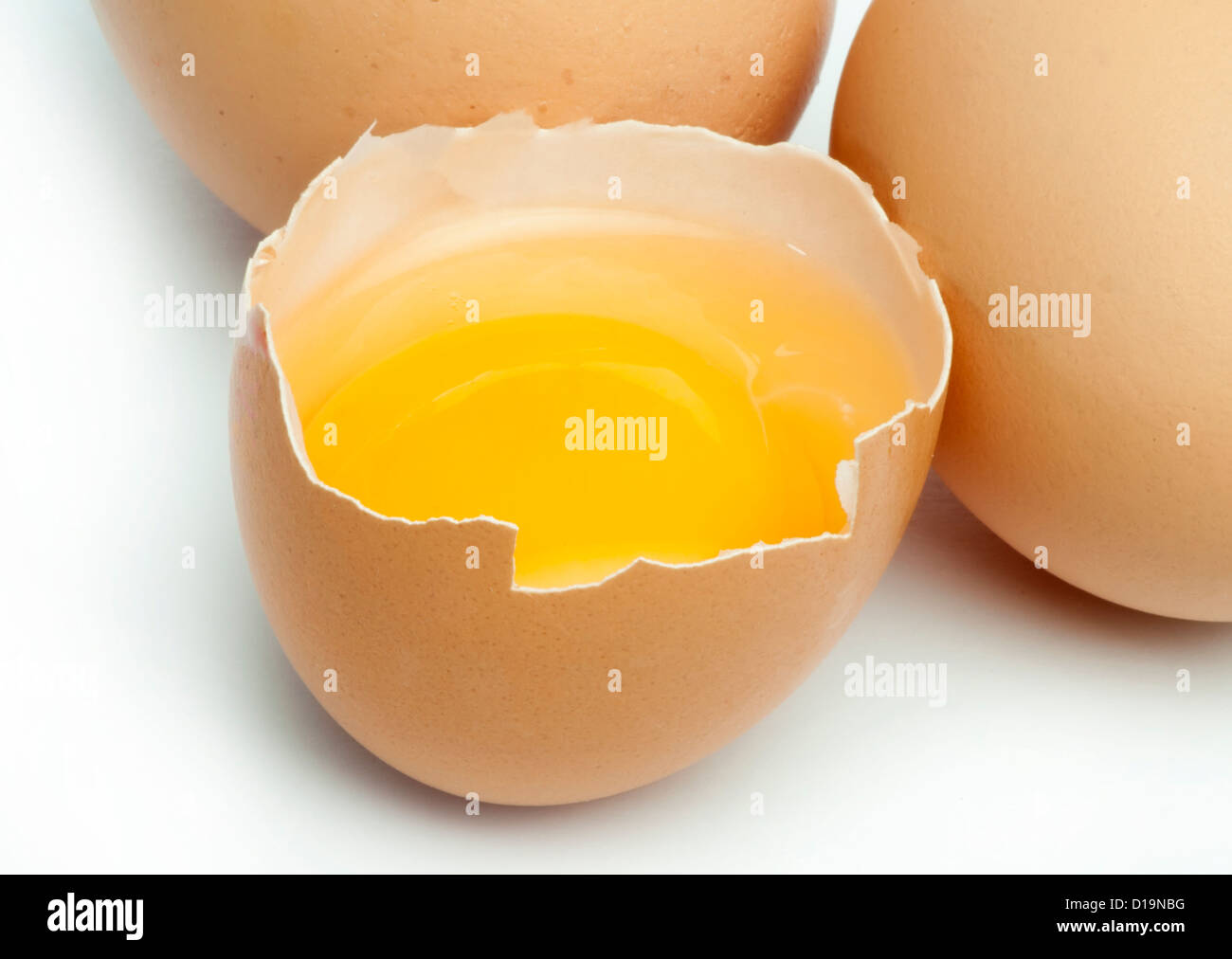 Inside another tree hi-res stock photography and images - Alamy