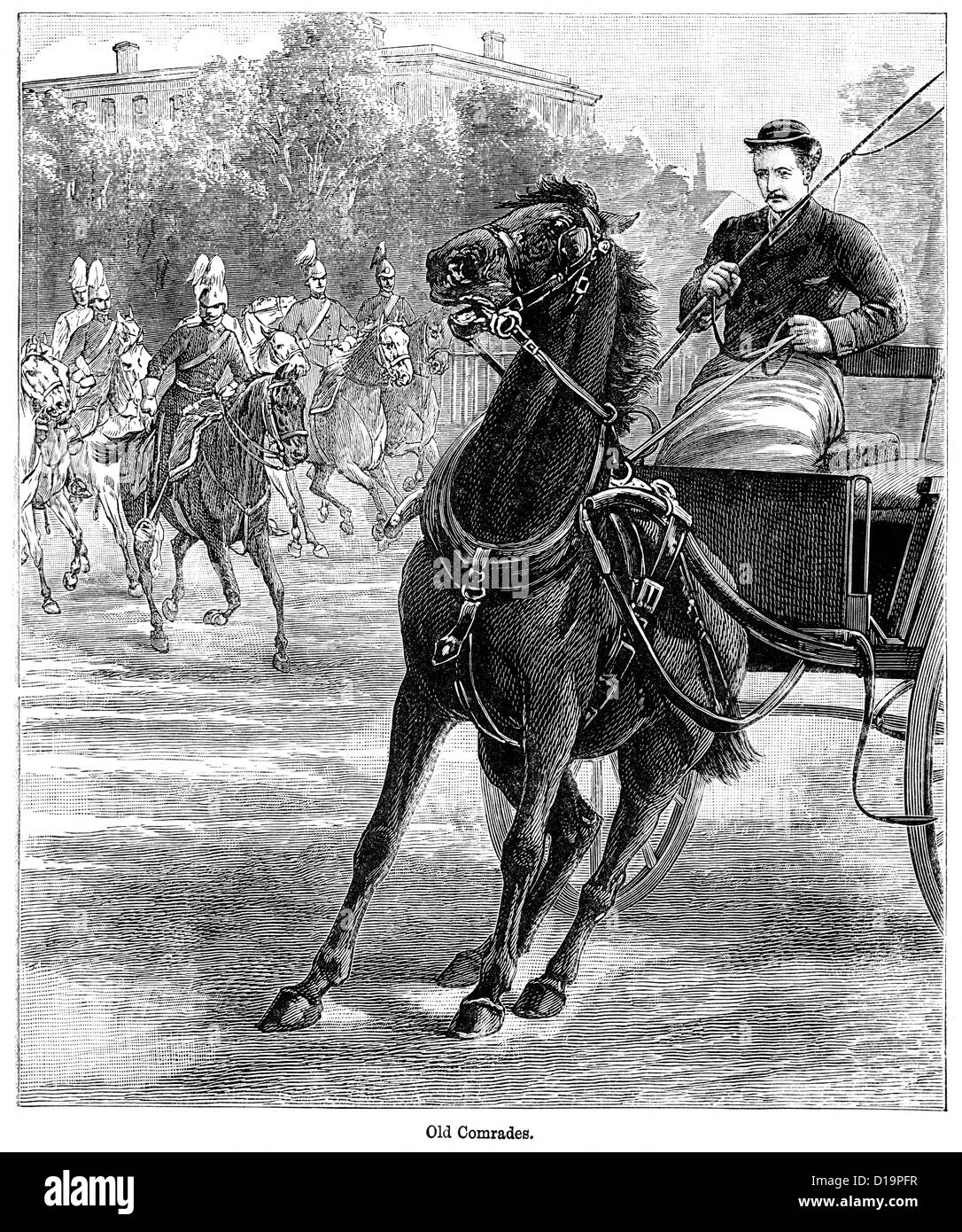 Victorian engraving of an old cavalry horse, now pulling a carriage ...