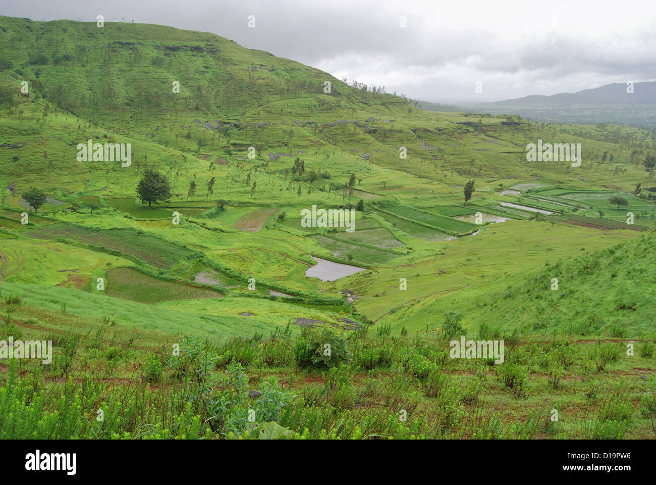 A beautiful village landscape in the monsoon season near Bhor village ...