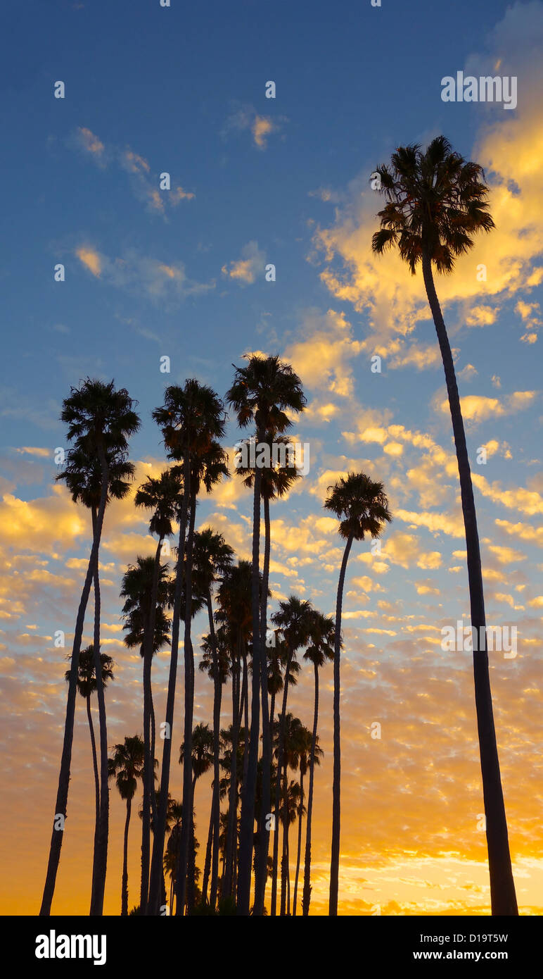 One stands out from the group Stock Photo - Alamy