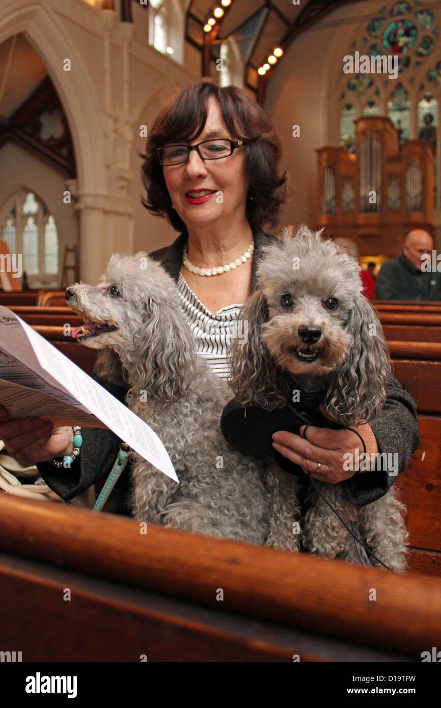 Woman with two poodles during a Pet blessing ceremony in church. SE ...