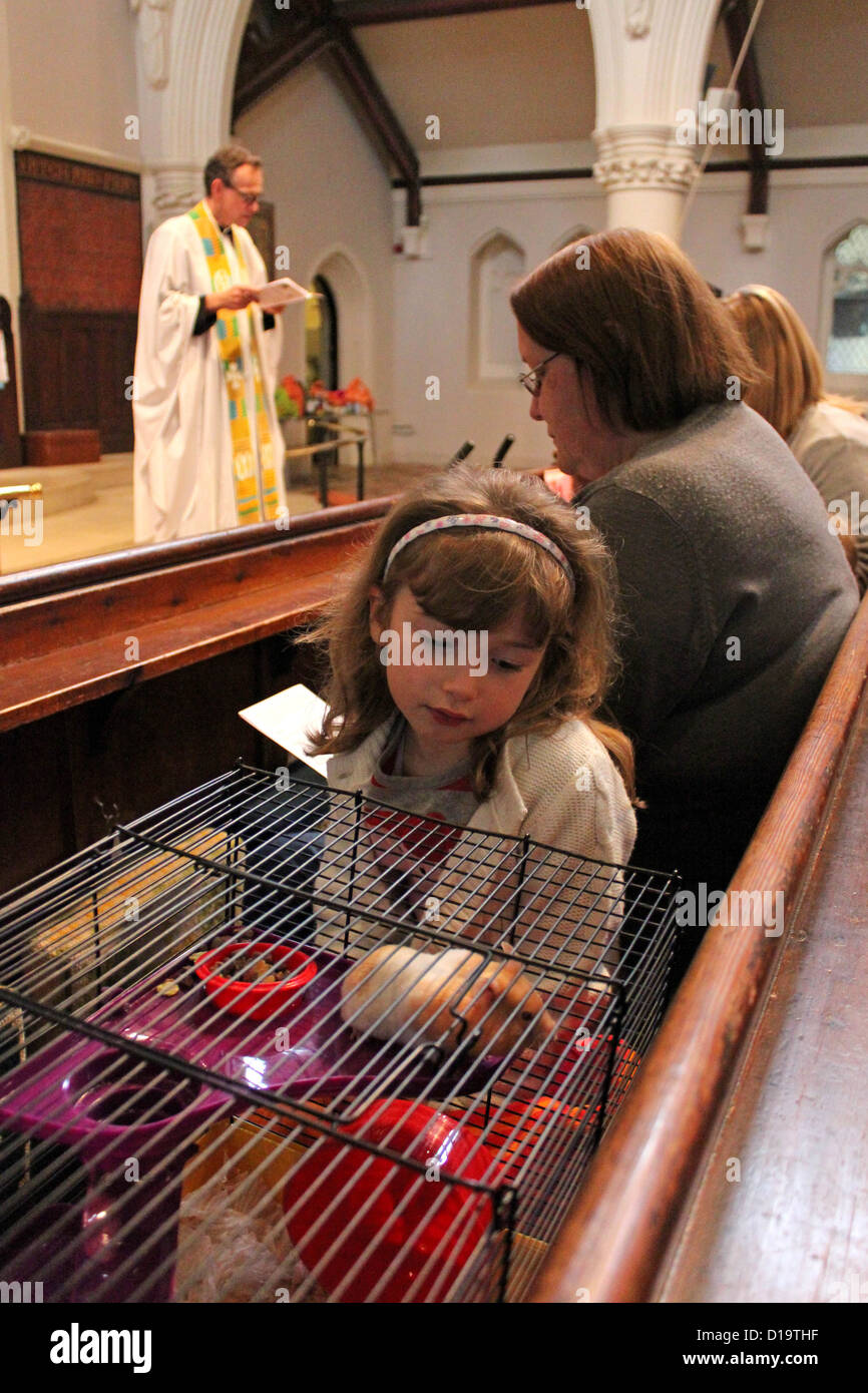 Pet blessing ceremony in church. SE London Stock Photo - Alamy