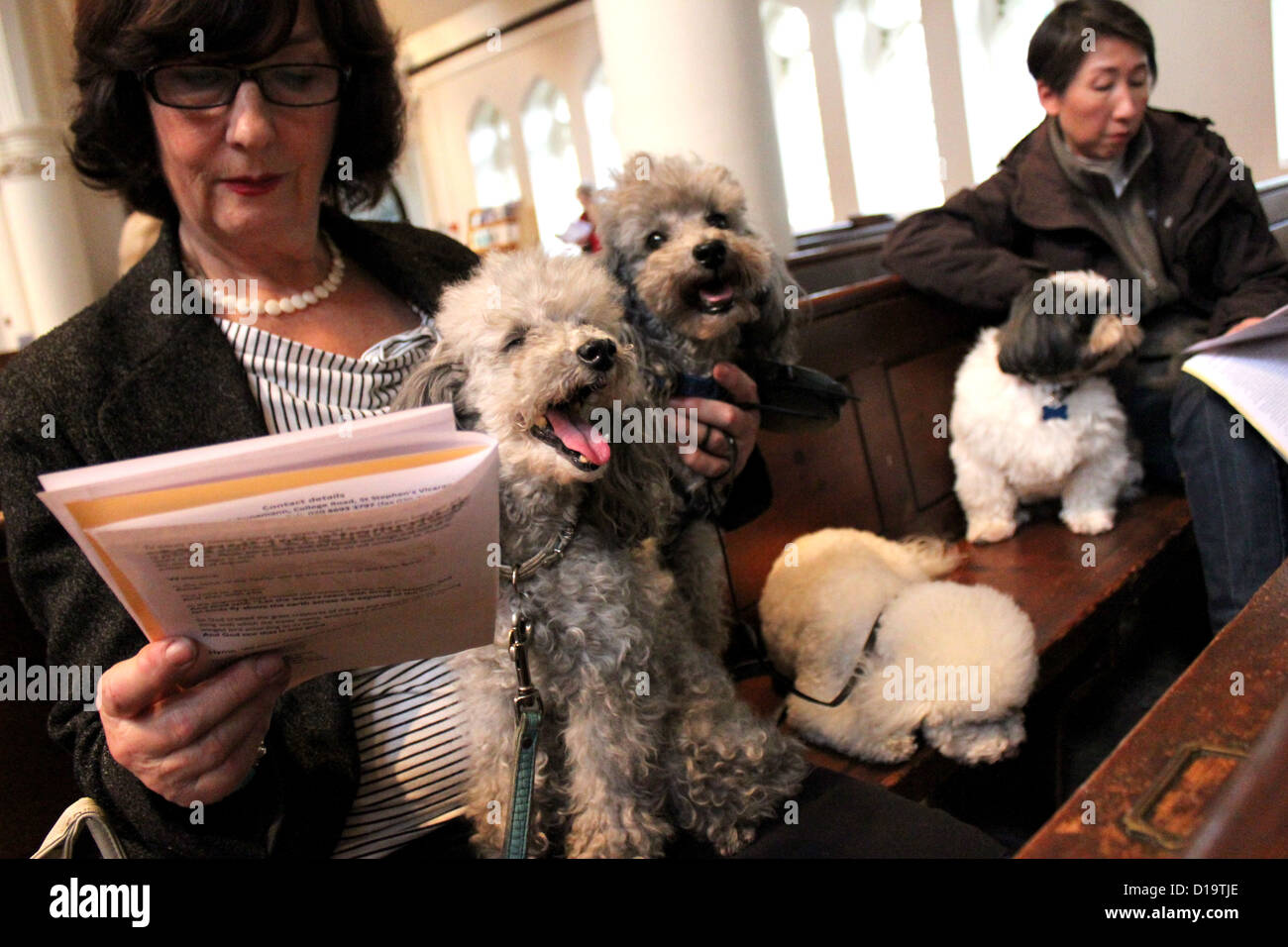 Pet blessing ceremony in church. SE London Stock Photo - Alamy