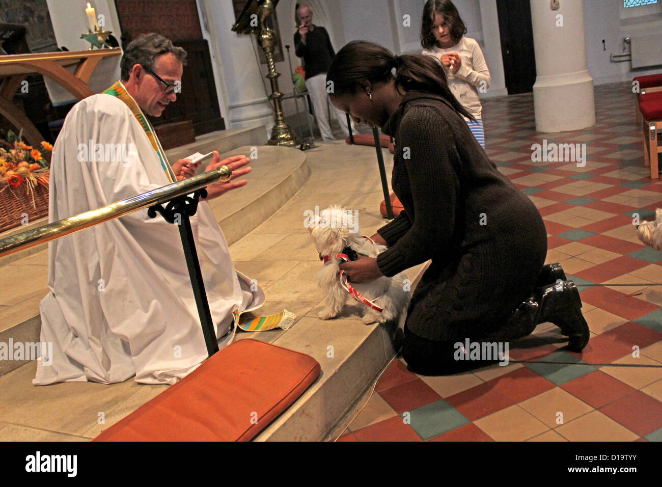 Priest blessing a dog during a pet blessing ceremony in church. SE ...