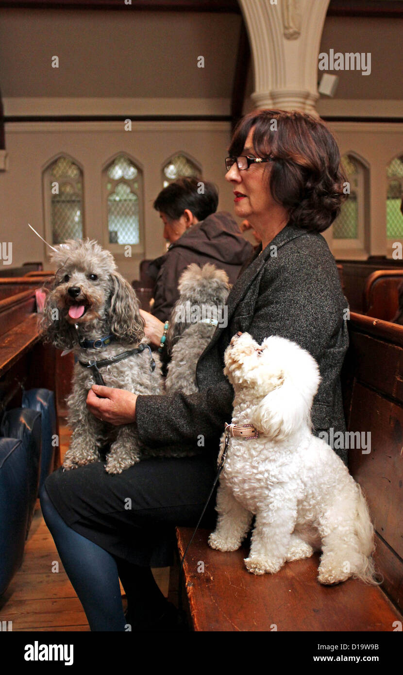 Pet blessing ceremony in church. SE London Stock Photo - Alamy