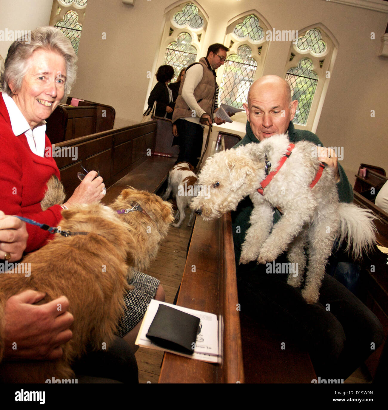 Pet blessing ceremony in church. SE London Stock Photo - Alamy