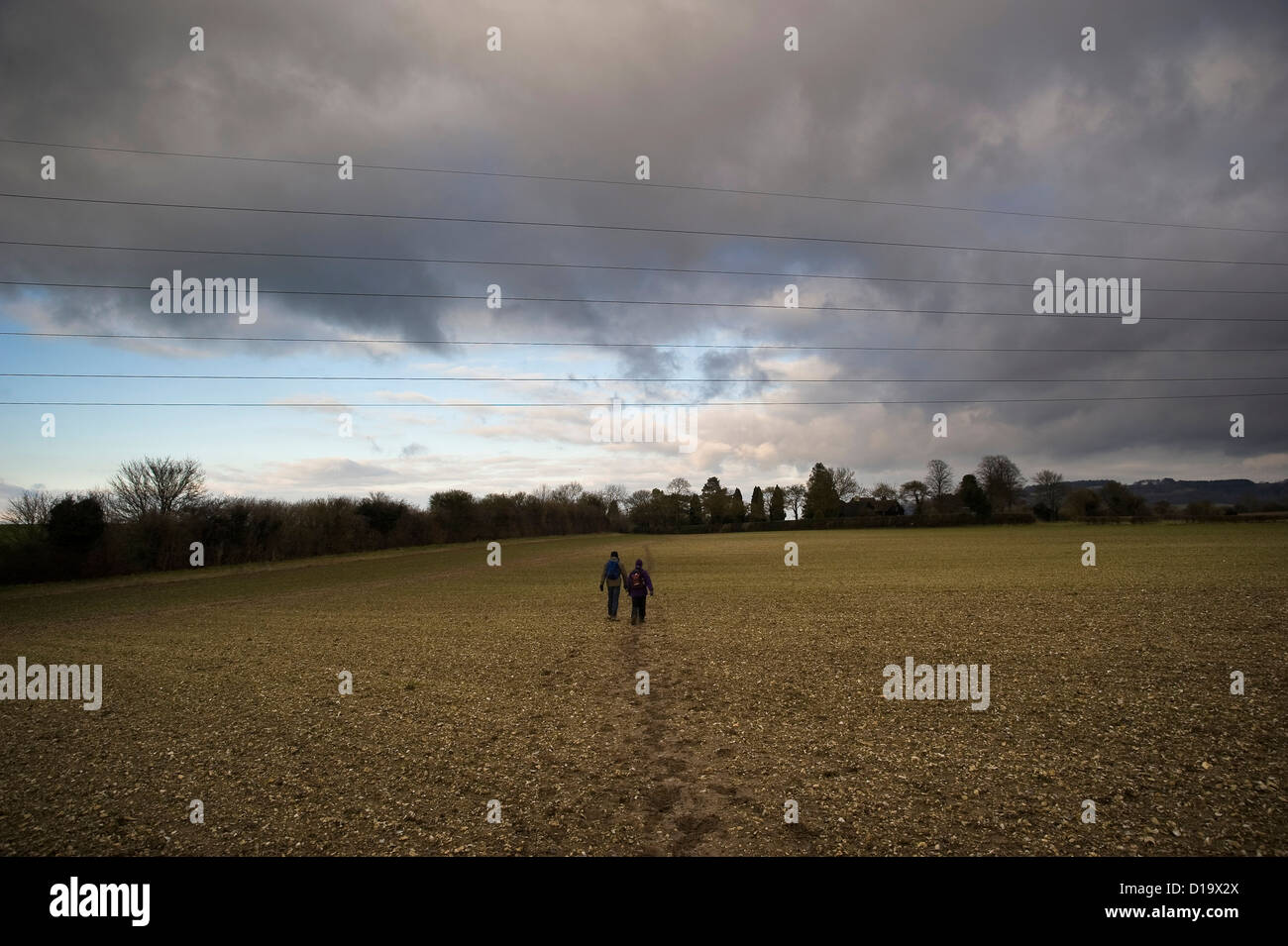 Walkers crossing a field on The Ridgeway National Trail near Chinnor ...