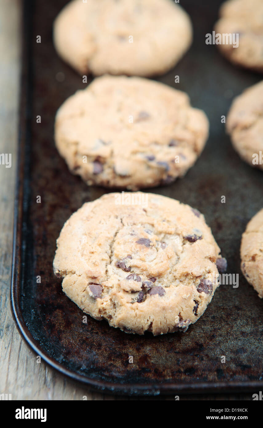 Food choc chocolate chip cookie cookies biscuit biscuits hi-res stock ...