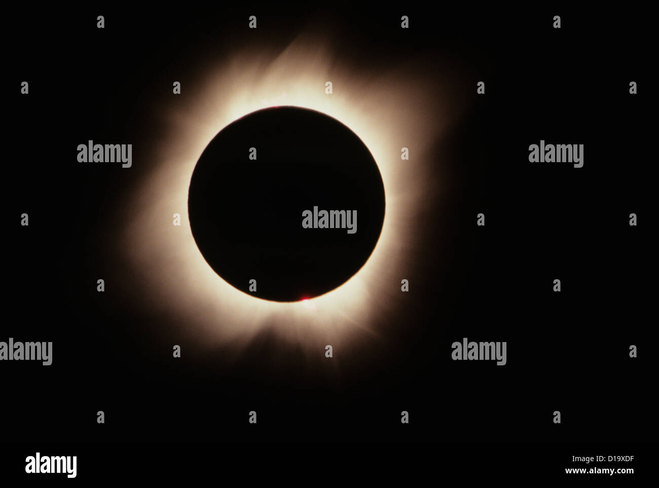 Hawaii, July 11, 1991, Solar Eclipse, Totality With Solar Flares Stock ...