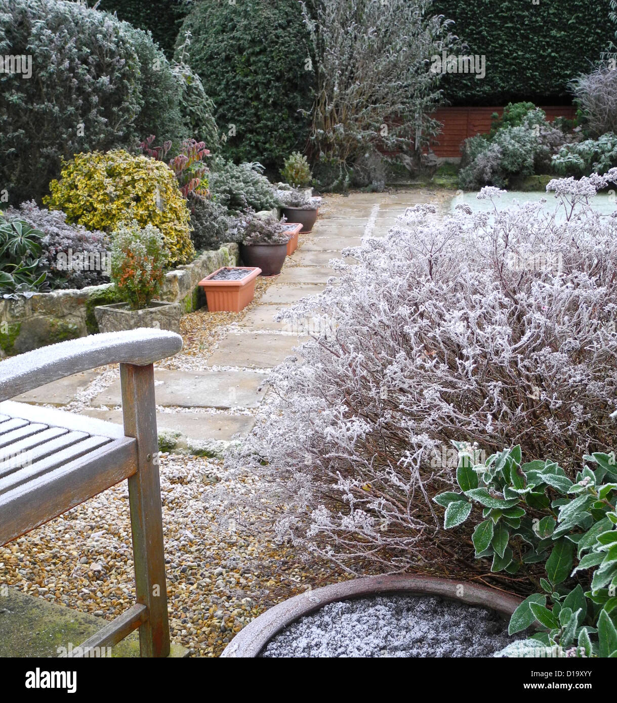 A garden in winter with frost Stock Photo - Alamy