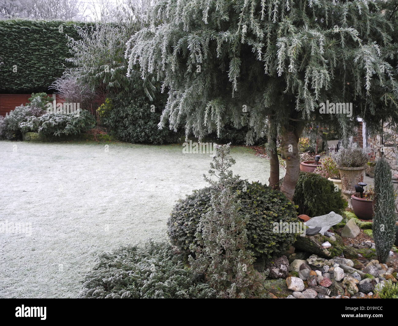 A garden in winter with frost Stock Photo - Alamy