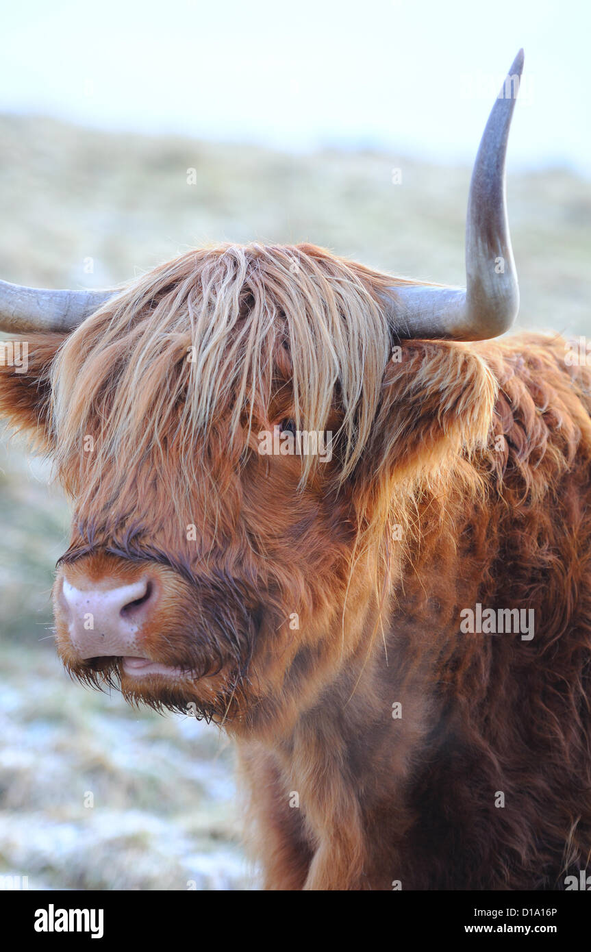 Unperturbed hi-res stock photography and images - Alamy