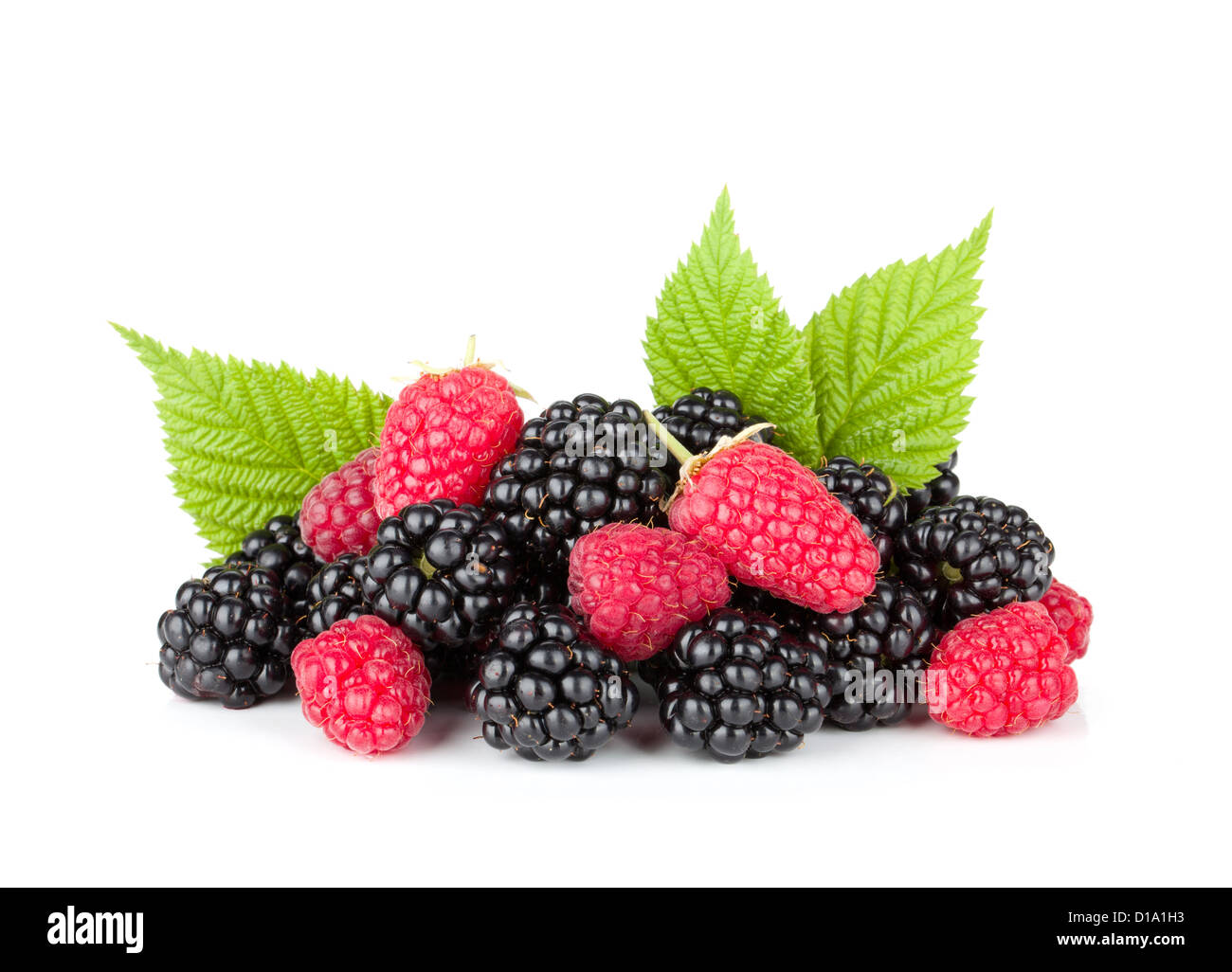 Blackberry and raspberry. Isolated on white background Stock Photo - Alamy