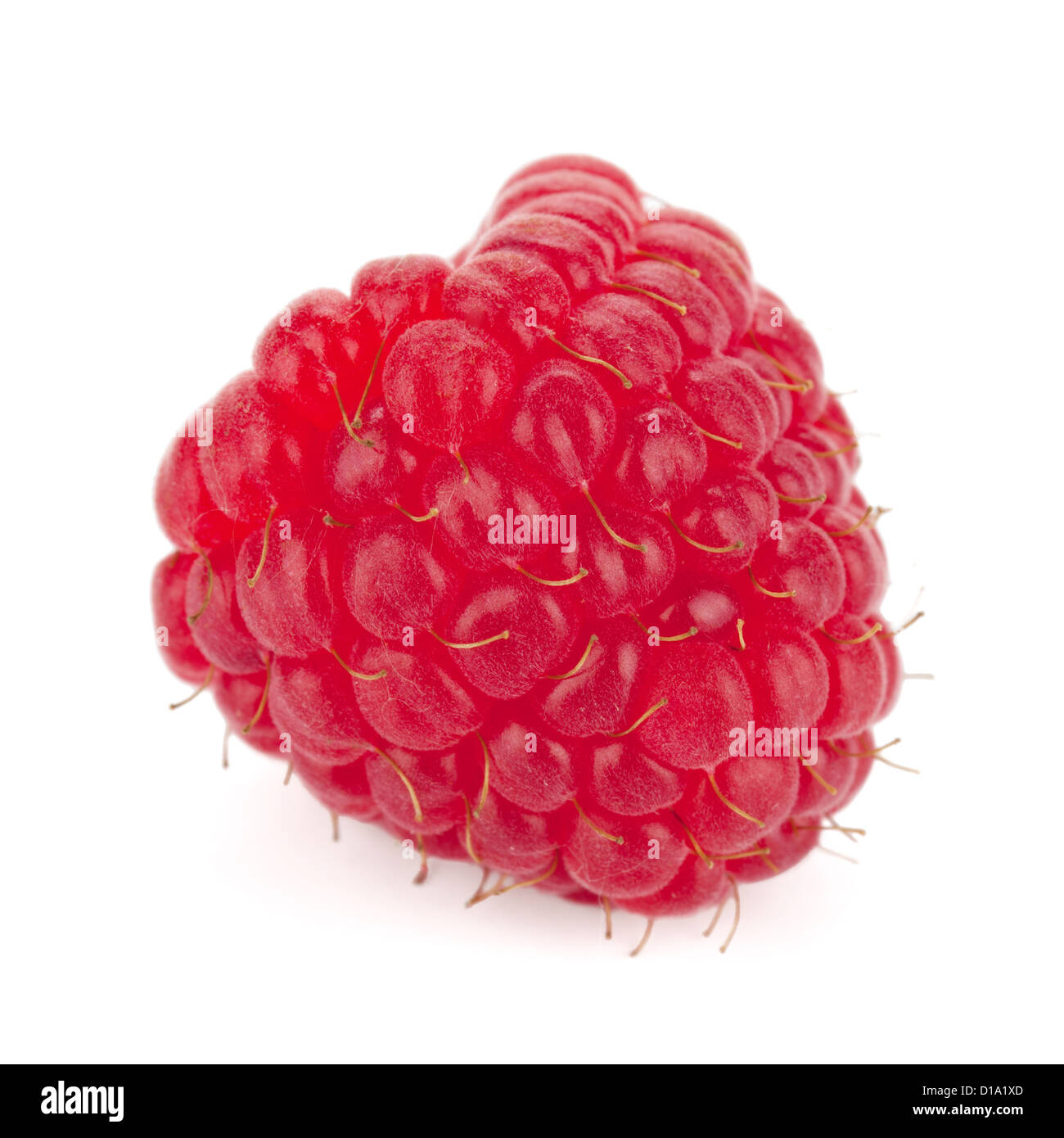 Ripe raspberry. Isolated on white background Stock Photo - Alamy