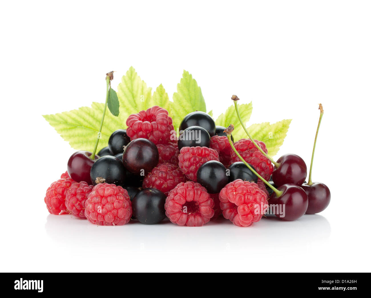 Black currant, raspberry and cherry. Isolated on white background Stock ...